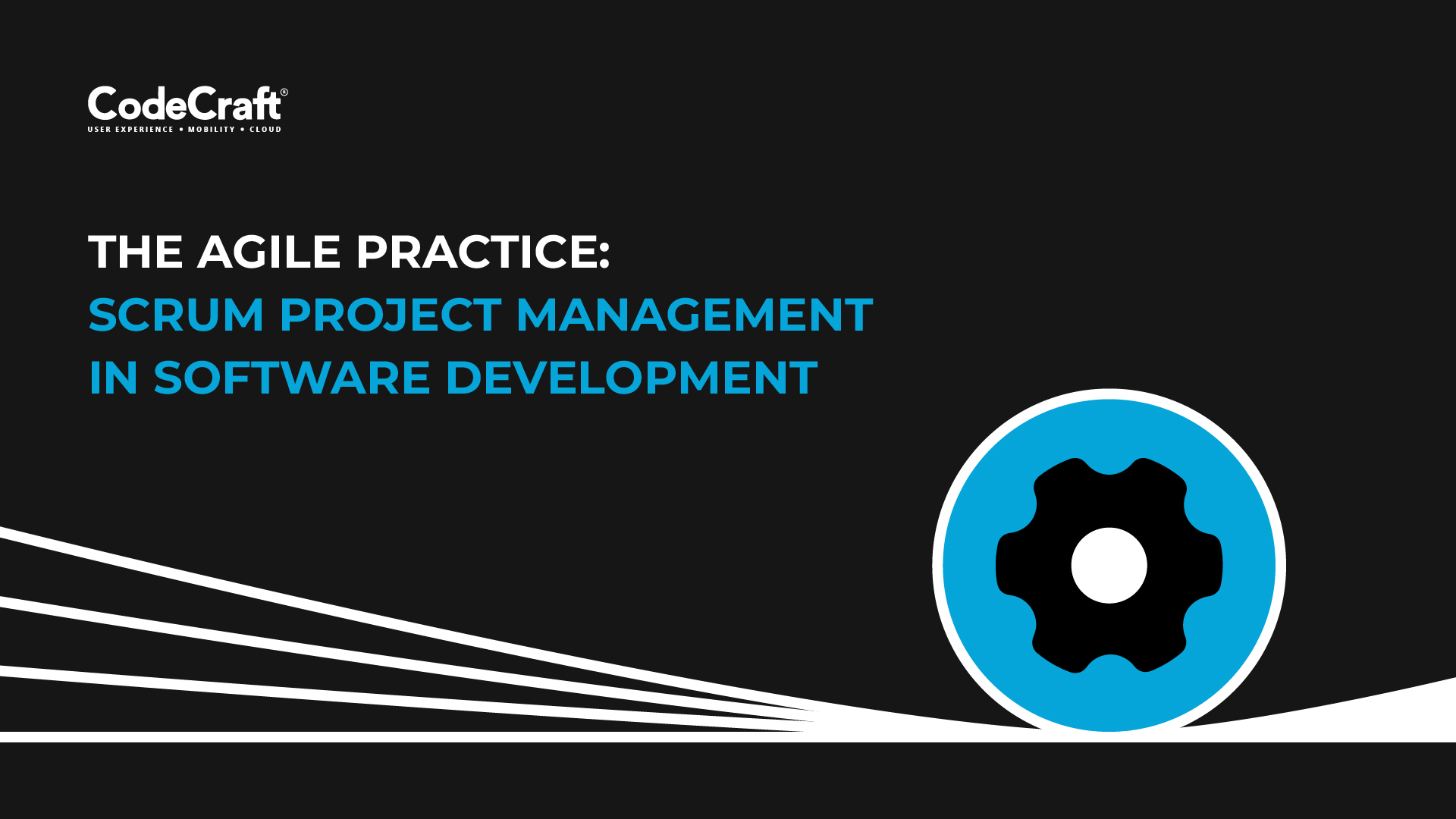 Agile Methodology & Scrum Practices For Software Development
